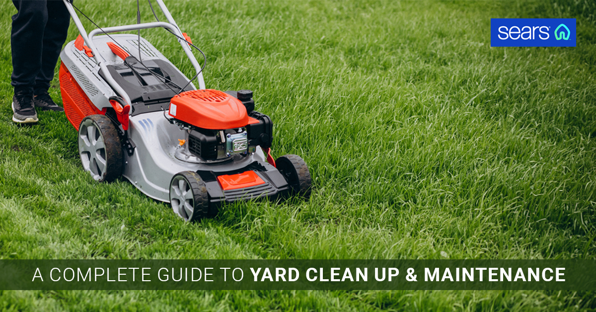 A Complete Guide to Yard Clean Up & Maintenance